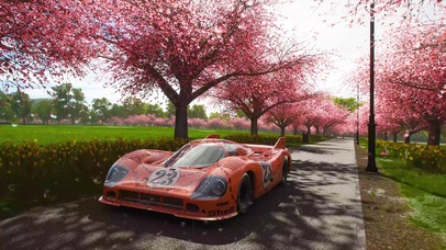 shell(风景动态壁纸) - 动态壁纸下载 - 元气壁纸