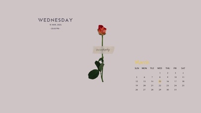 简约ins风格桌面(小清新动态壁纸) - 动态壁纸下载 - 元气壁纸