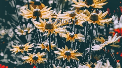 4k清新ins风格花桌面(风景动态壁纸) - 动态壁纸下载 - 元气壁纸