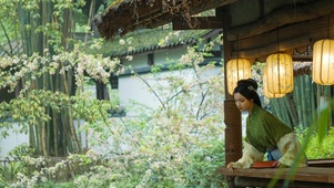 4K雪景古风美女(美女动态壁纸) - 动态壁纸下载 - 元气壁纸