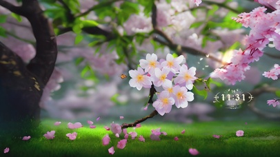 4k唯美的樱花(风景动态壁纸) - 动态壁纸下载 - 元气壁纸