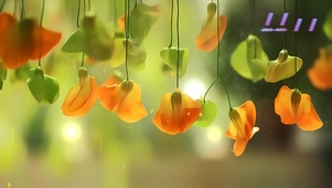 花儿开了(风景动态壁纸) - 动态壁纸下载 - 元气壁纸