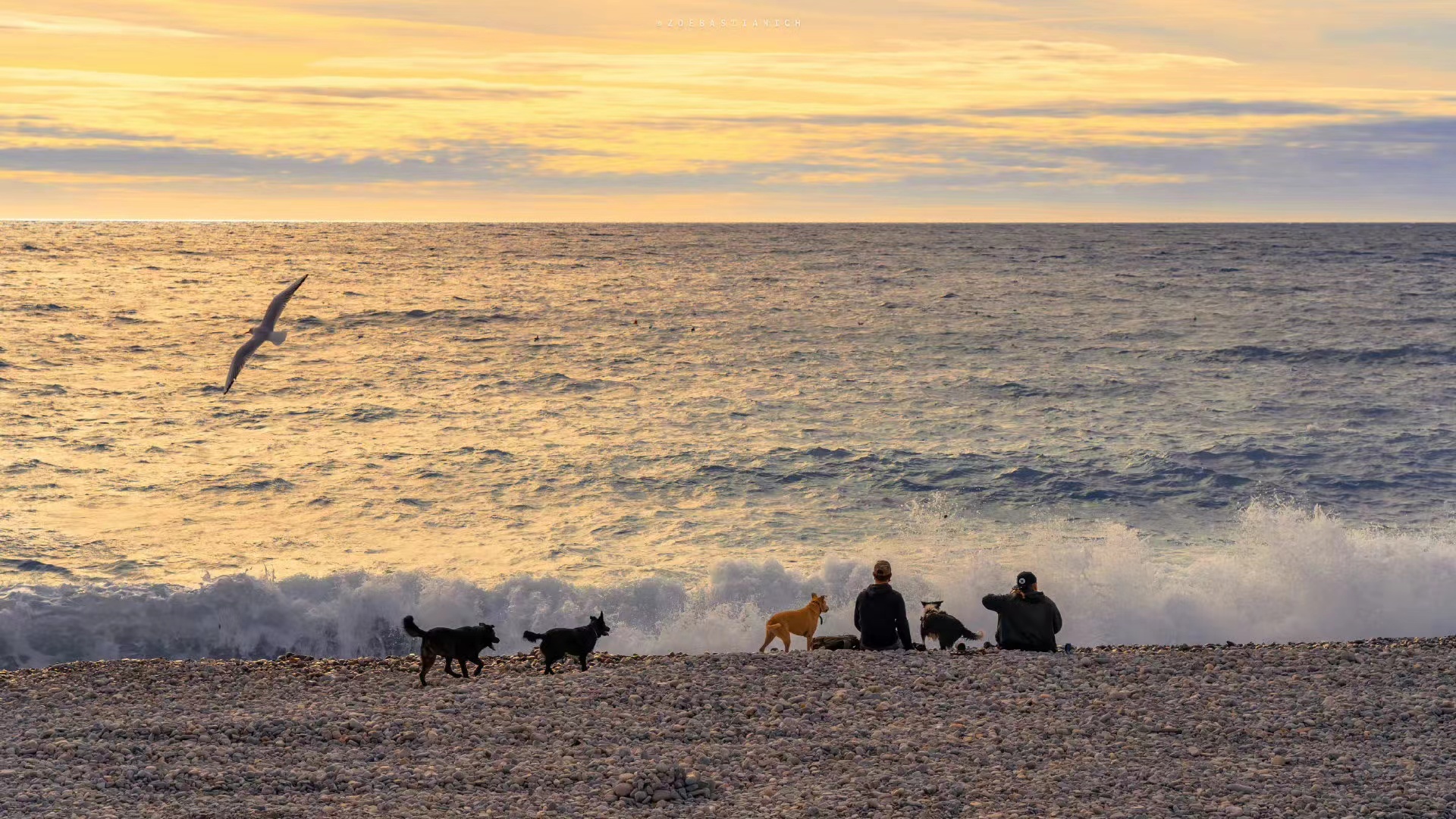 dffgg(其他静态壁纸) - 静态壁纸下载 - 元气壁纸