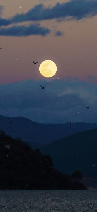 月夜壁纸 月夜手机壁纸 月夜手机动态壁纸 元气壁纸