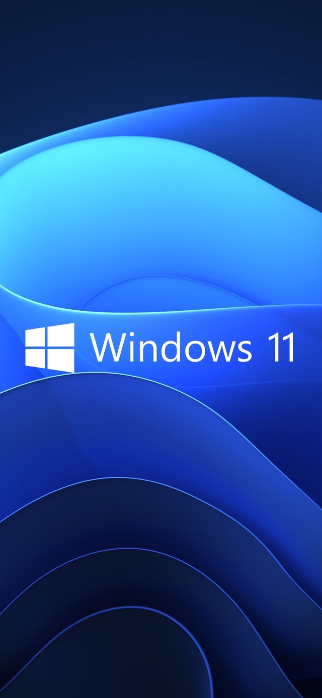 win11背景(其他手机动态壁纸) - 其他手机壁纸下载 - 元气壁纸