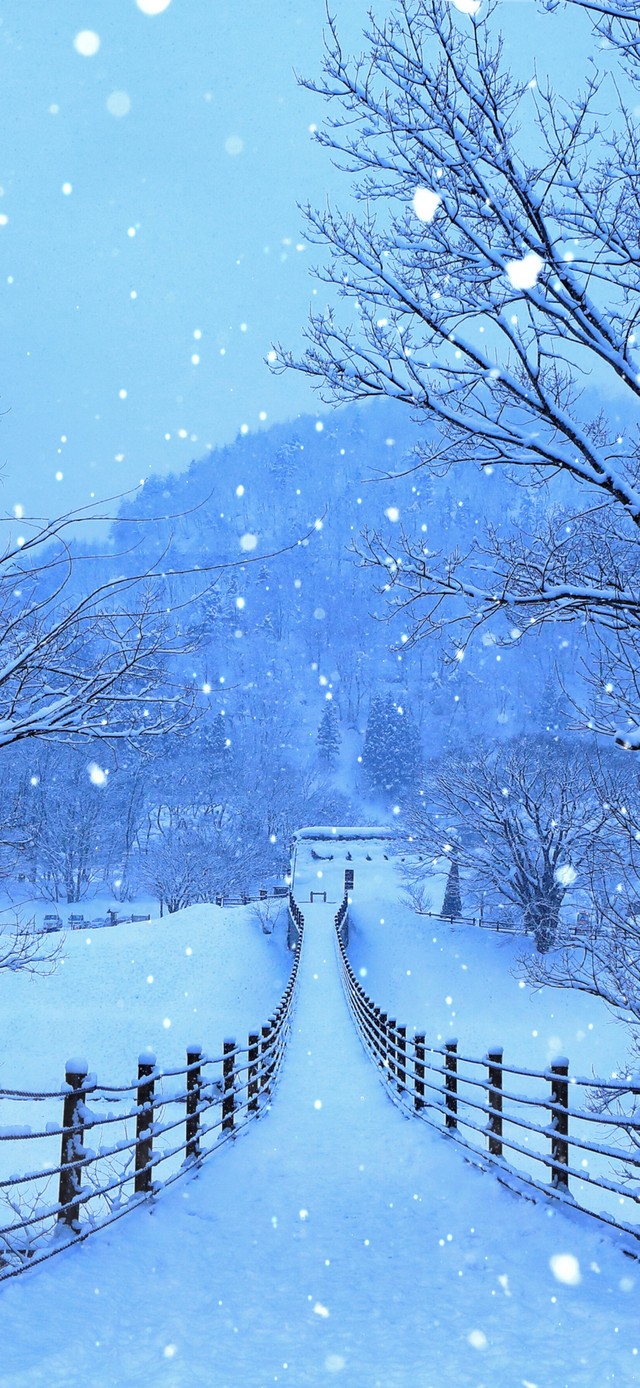 4K唯美治愈日系雪桥(动漫手机动态壁纸) - 动漫手机壁纸下载 - 元气壁纸
