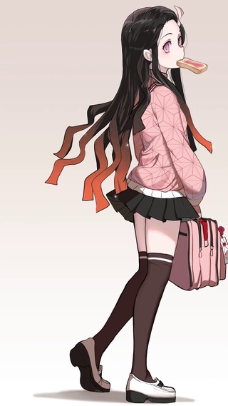 鬼灭之刃 炭治郎 (动漫手机动态壁纸) - 动漫手机壁纸下载 - 元气壁纸