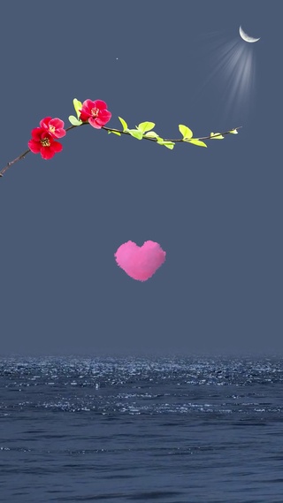 花儿(风景手机动态壁纸) - 风景手机壁纸下载 - 元气壁纸