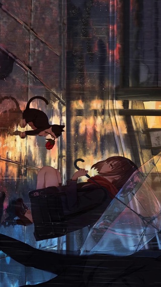 女孩和猫壁纸 女孩和猫手机壁纸 女孩和猫手机动态壁纸 元气壁纸