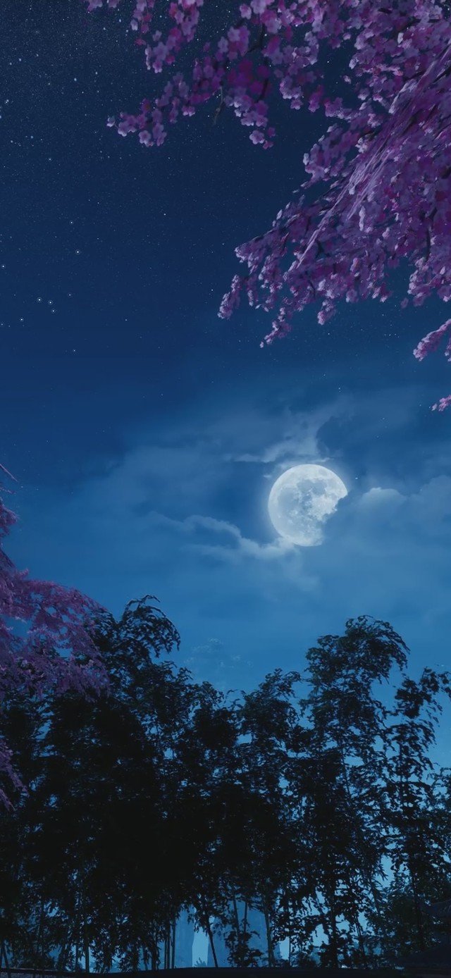 樱花月夜风景手机动态壁纸 风景手机壁纸下载 元气壁纸