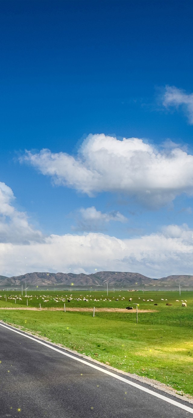 唯美草原公路(风景手机动态壁纸) - 风景手机壁纸下载 - 元气壁纸