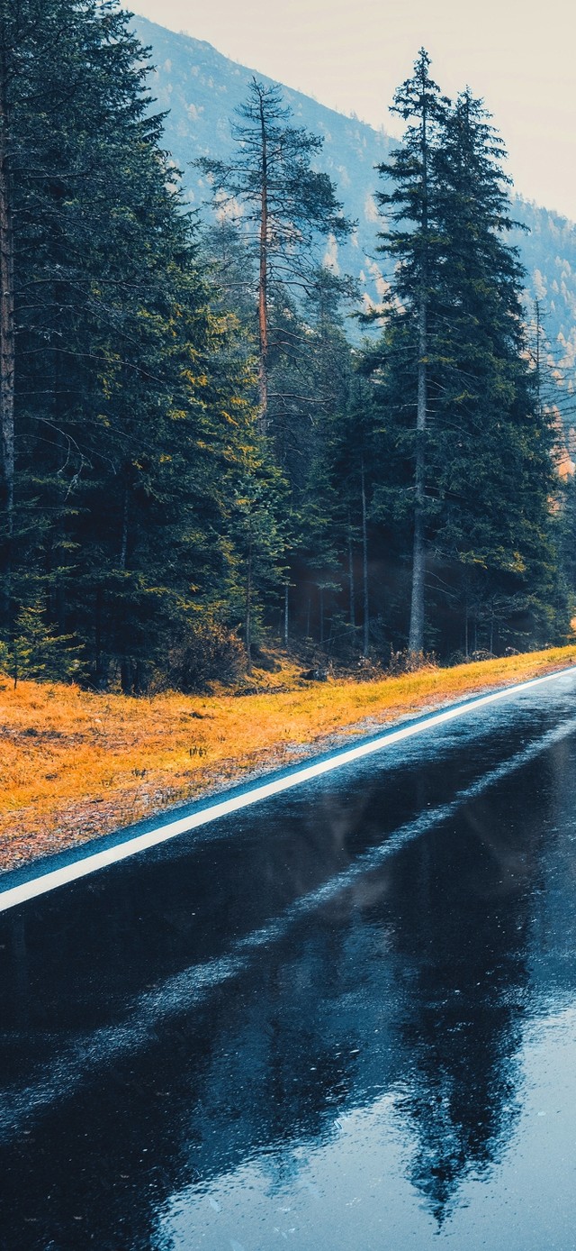 温馨雨天公路(风景手机动态壁纸) - 风景手机壁纸下载 - 元气壁纸
