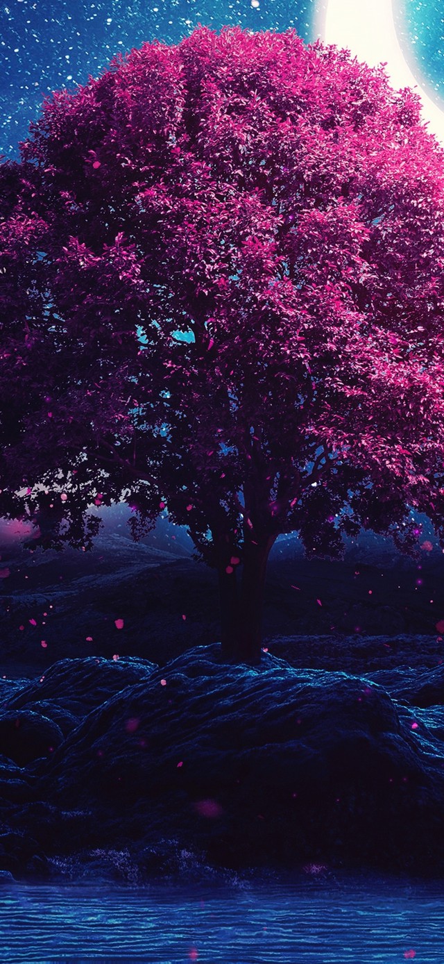 4K唯美樱花树(风景手机动态壁纸) - 风景手机壁纸下载 - 元气壁纸