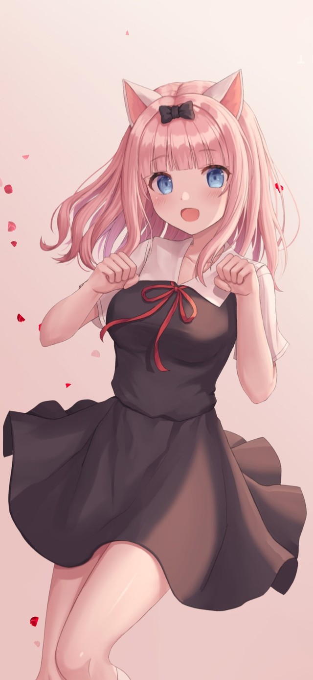 清纯小野猫~美女手机动态壁纸 美女手机壁纸下载 元气壁纸
