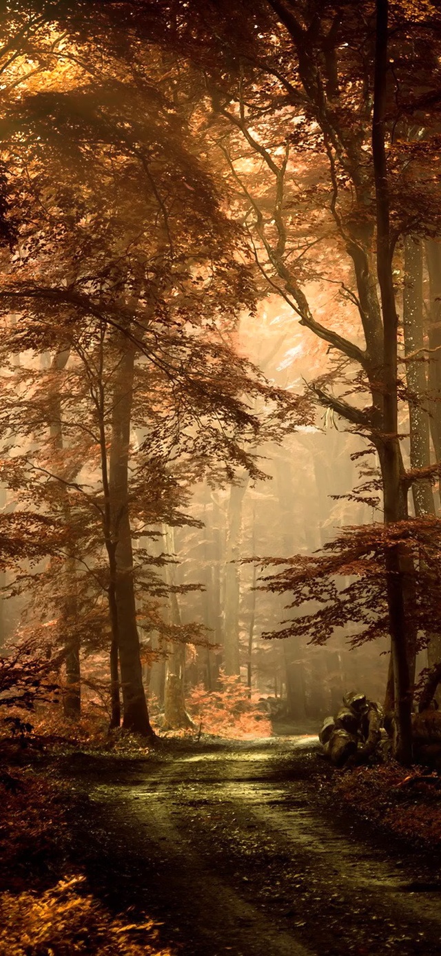 风景系列之二十四【4K唯美】(风景手机动态壁纸) - 风景手机壁纸下载 - 元气壁纸