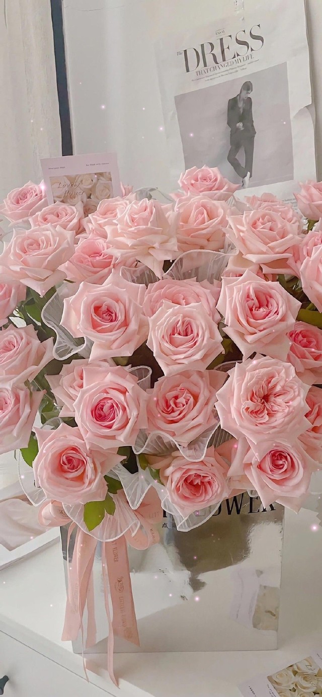 玫瑰花(风景手机动态壁纸) - 风景手机壁纸下载 - 元气壁纸