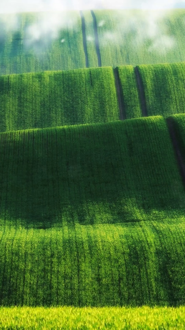 4K绿色护眼大草地(风景手机动态壁纸) - 风景手机壁纸下载 - 元气壁纸