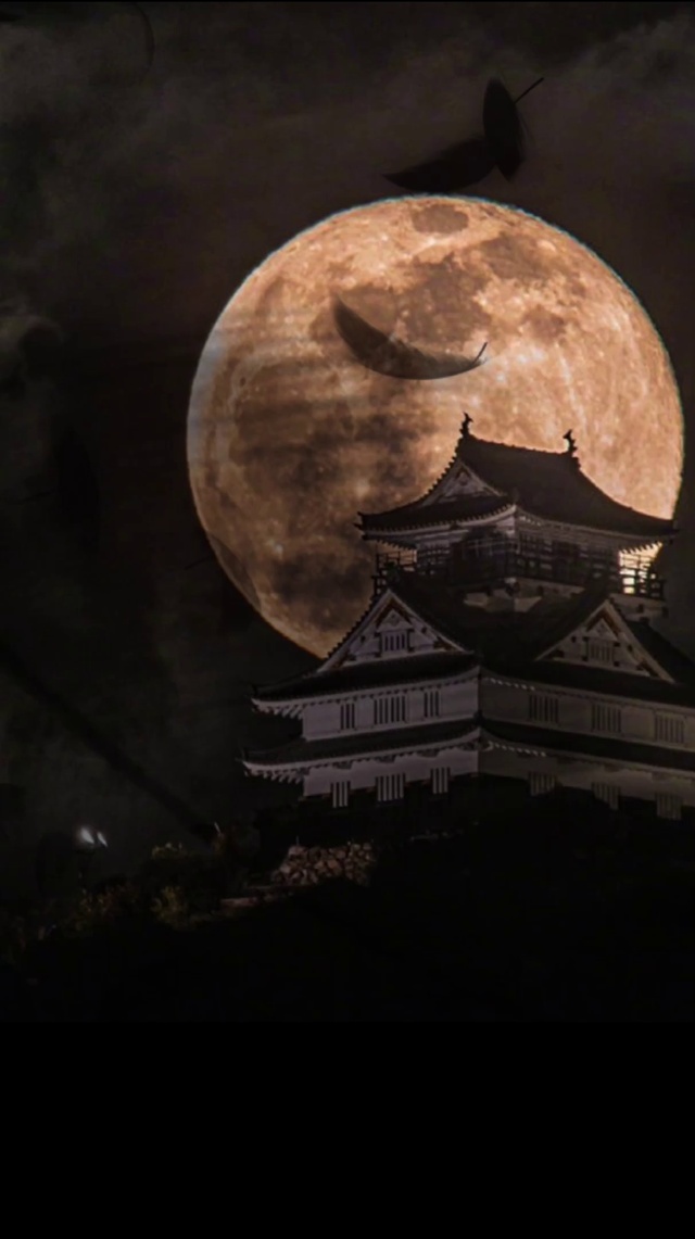 狼月夜风景手机动态壁纸 风景手机壁纸下载 元气壁纸