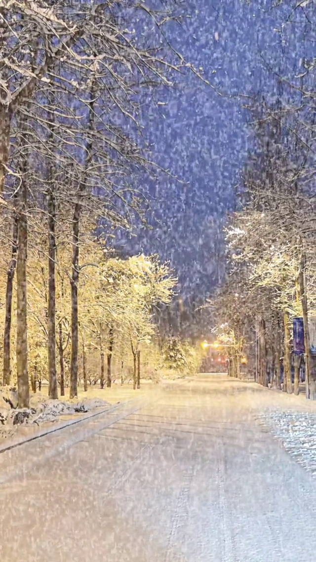 北国飘雪(风景手机动态壁纸) - 风景手机壁纸下载 - 元气壁纸