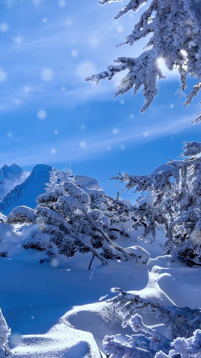 特别的爱给特别的你(风景手机动态壁纸) - 风景手机壁纸下载 - 元气壁纸