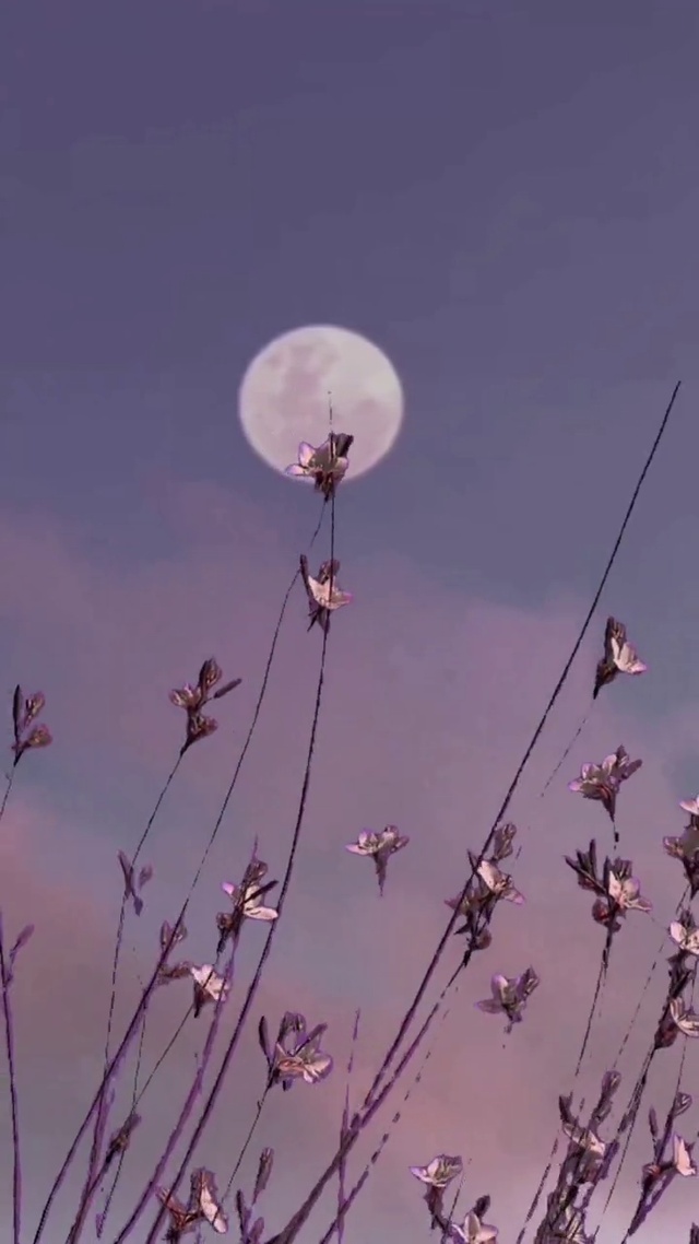 花儿伴明月(风景手机动态壁纸) - 风景手机壁纸下载 - 元气壁纸