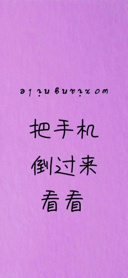 2023 指定发财其他手机静态壁纸 其他手机壁纸下载 元气壁纸